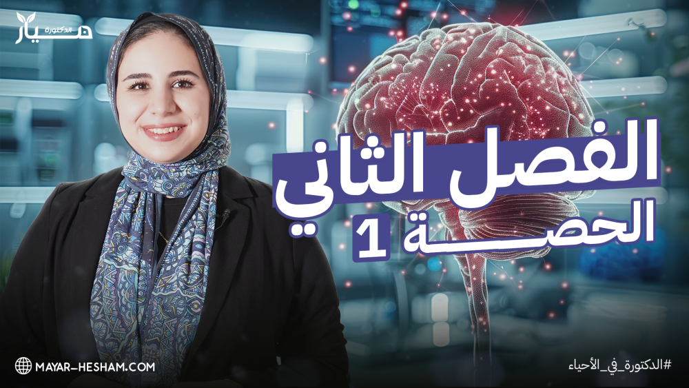 Dr. Mayar Hesham - د/ميار هشام